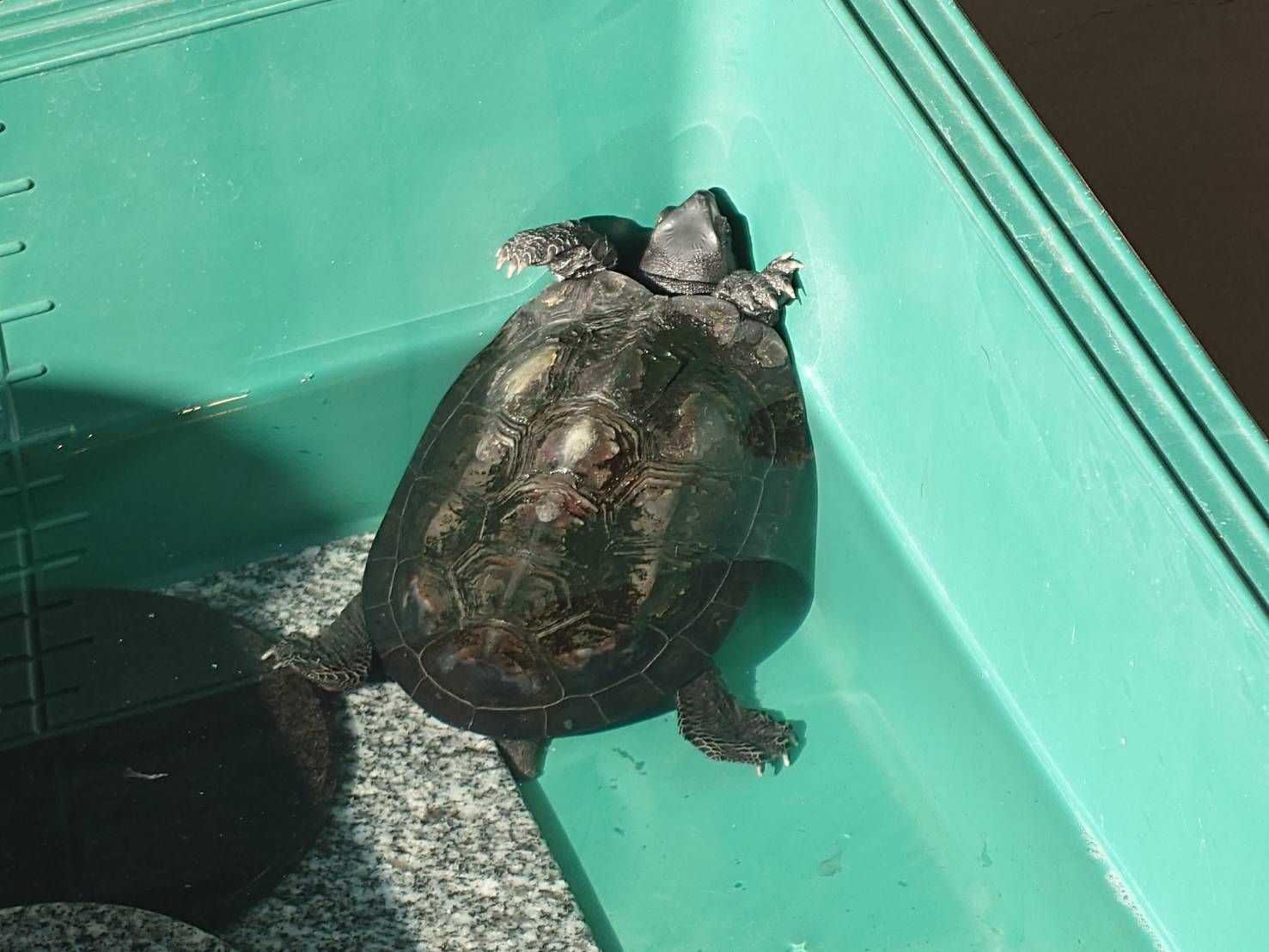 お墓のみとりと終活と高齢者サポート