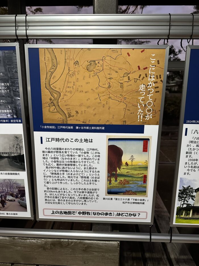 八柱霊園開園90周年イベント 紅葉まつりも特別版
