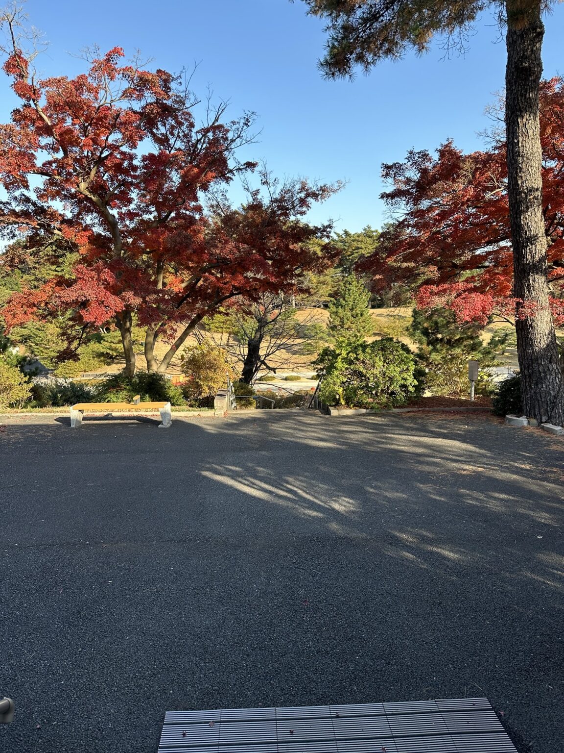 八柱霊園納骨堂 遺骨一時預かり