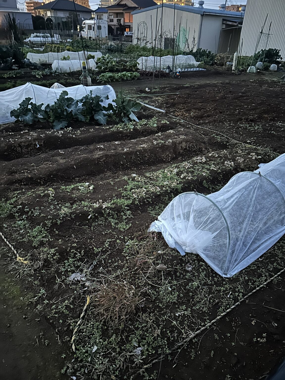 お参りしたくなる